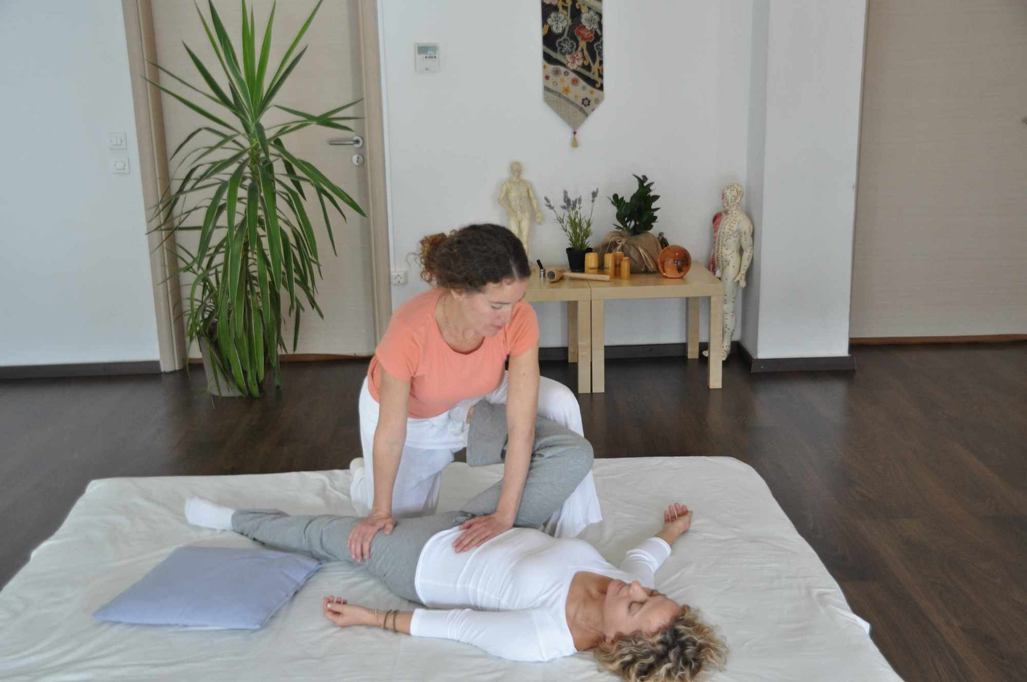 Επισκόπηση Εκπαίδευσης Shiatsu | Oriental Medicine Training Centre